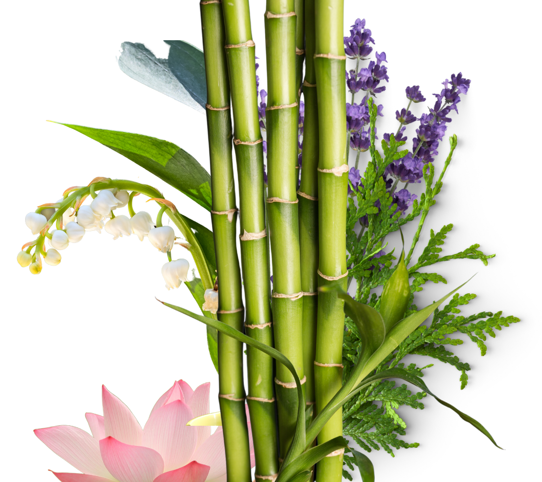 Fragancia Bambú& Flor de loto Ambientador eléctrico profesional